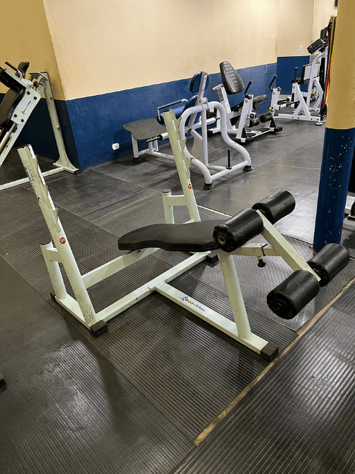 Supino Declinado » Strong Impacto Academia